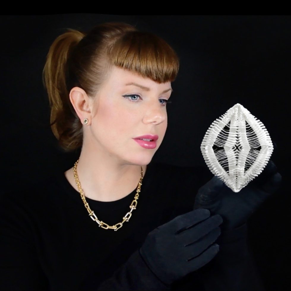 Artist Amy Karle & The Smithsonian Institution Collaboration - Amy Karle