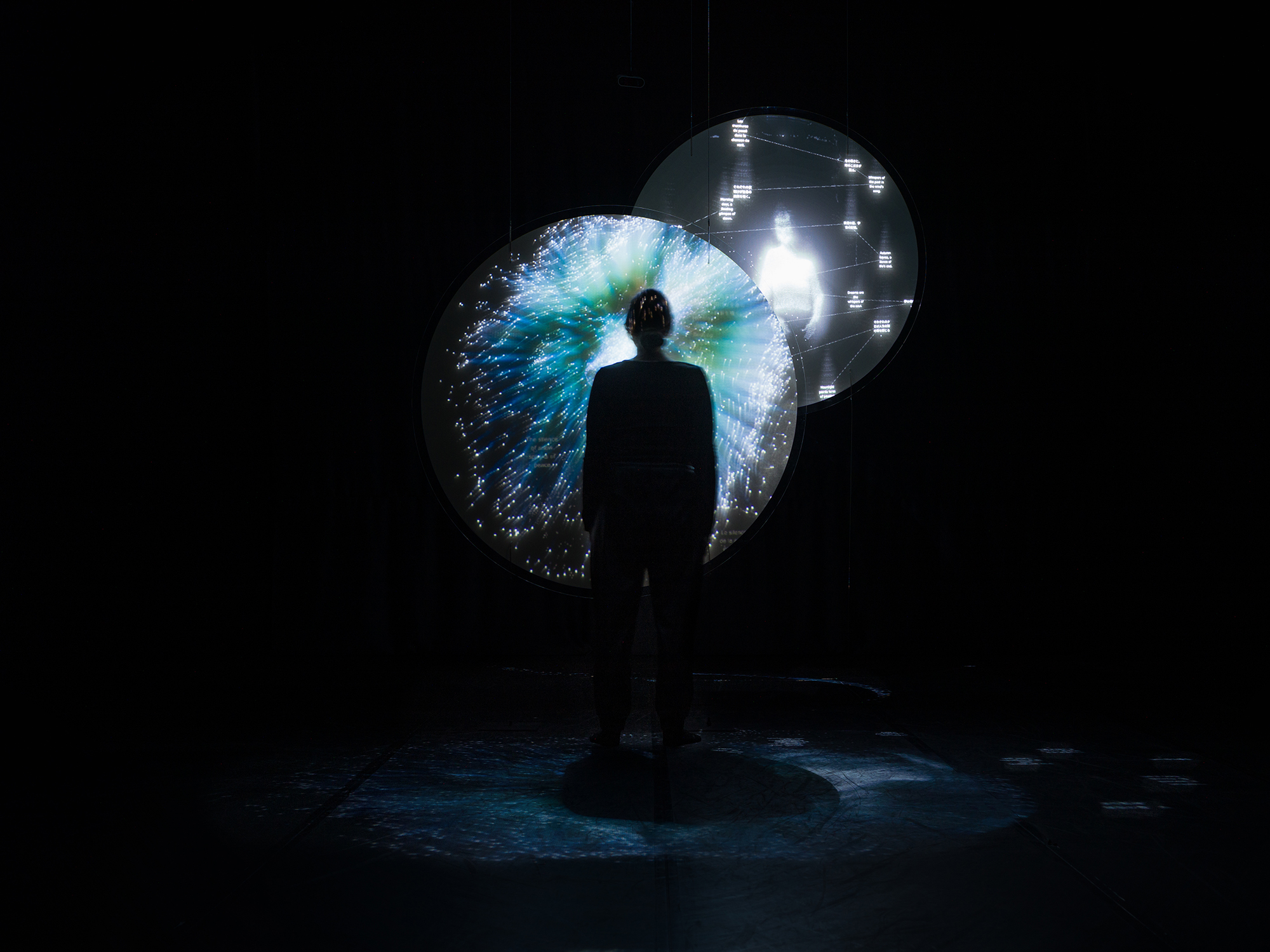 Echoes From The Valley Of Existence - Amy Karle